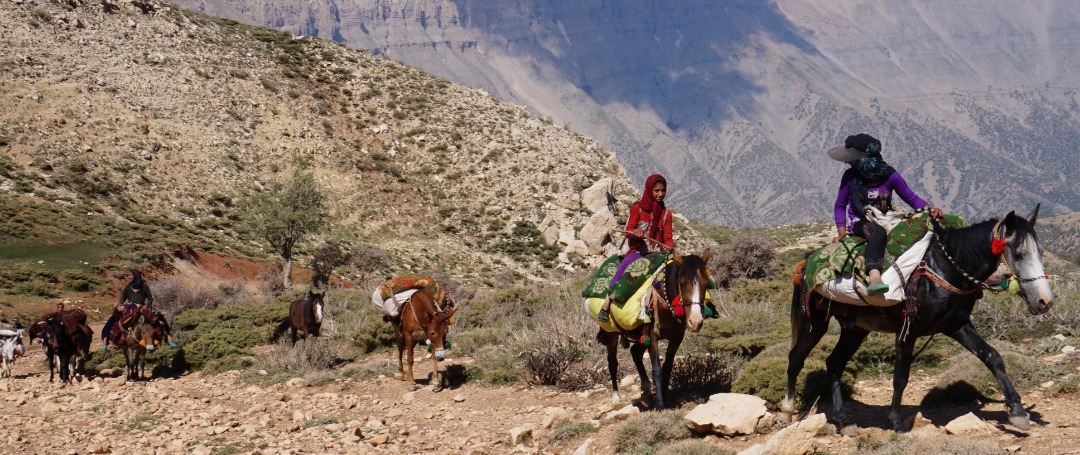 6 Main Reasons Why Nomads are Worth Visiting - Nomad Tours