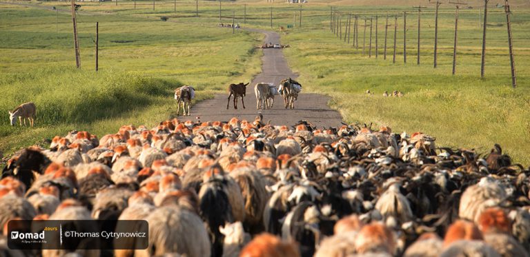 Nomads around the World - Different Types & Tribes - Iran Nomad Tours