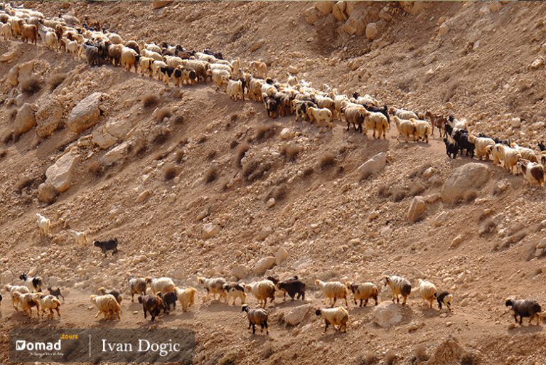 Nomads' Land Use and Lifestyle in Migration Time - Iran Nomad Tours